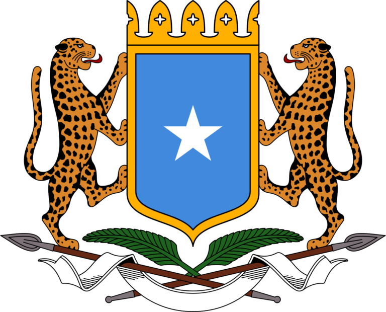 Somalia Extends Condolences Following Air India Crash | Shabelle Media ...