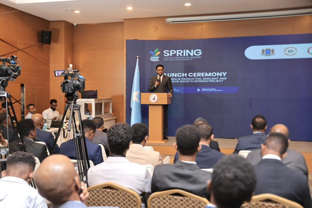 Somalia Launches $105 Million SPRING Project to Boost Economic Growth ...