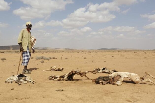 Hormuud Salaam Foundation Commits $700,000 to Somalia Drought Relief ...